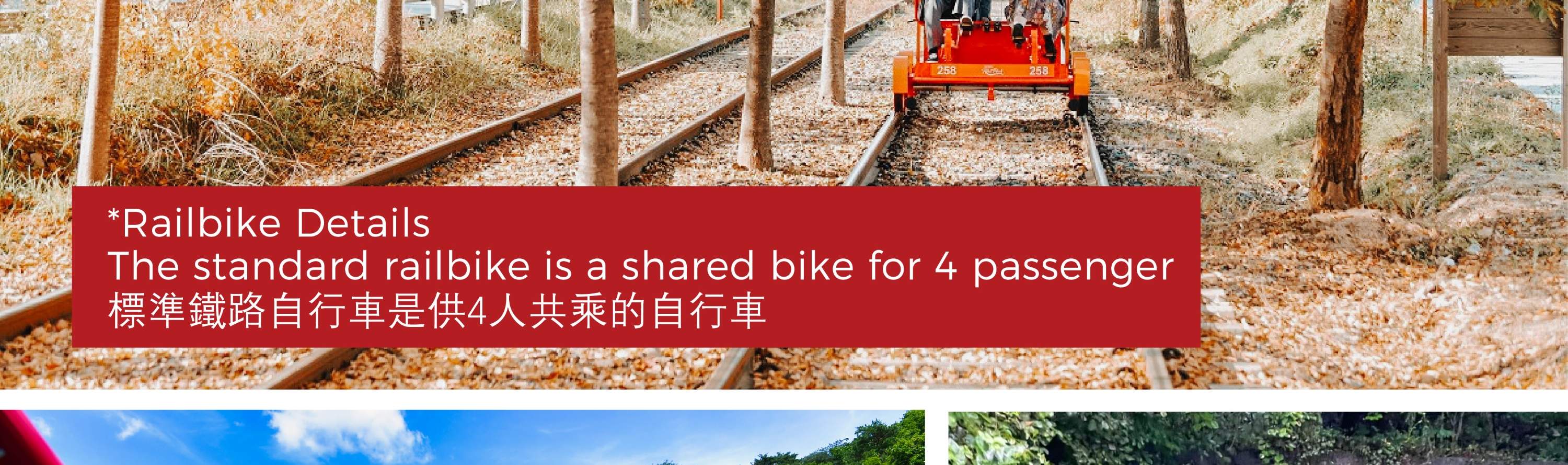 Nami Island & Nijimori Japan & Morning Calm & Railbike & Alpaca - Klook ...