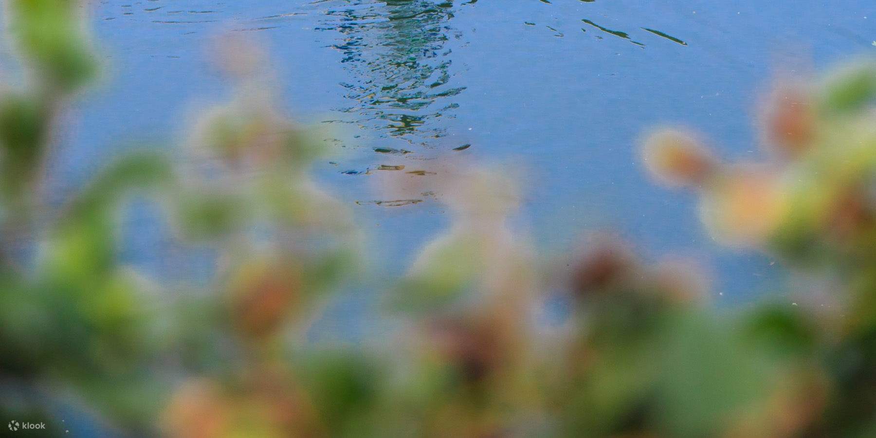 Yanagawa River Boat & Strawberry Picking & Dazaifu from Fukuoka - Klook ...