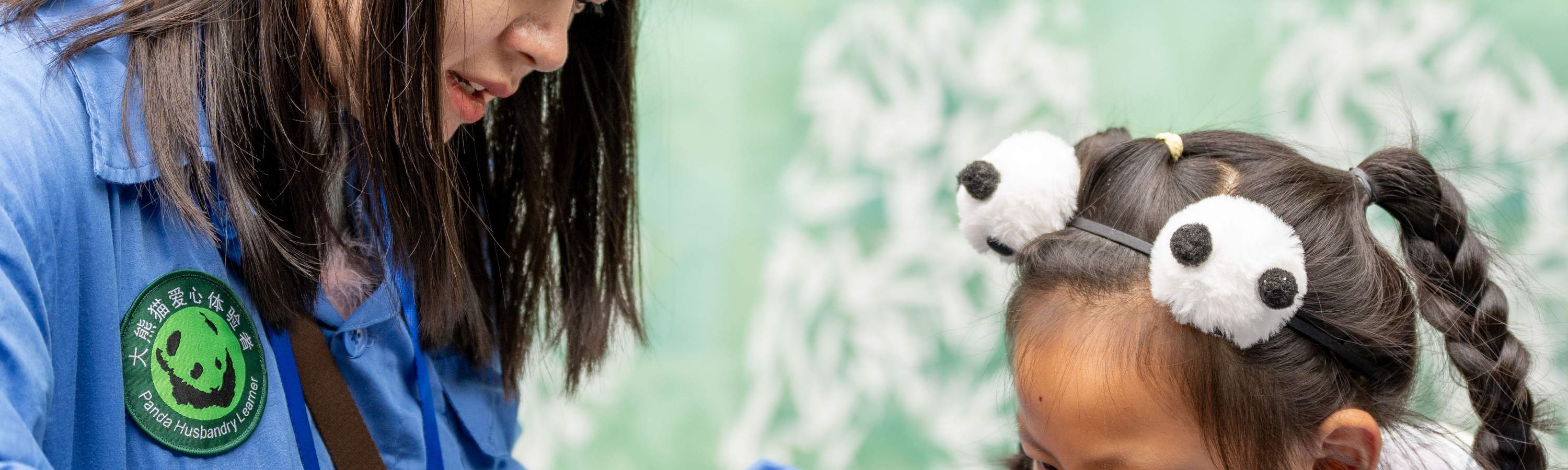 [Panda Volunteer] 1-Day Charity Experience: Dujiangyan/Wolong Panda ...