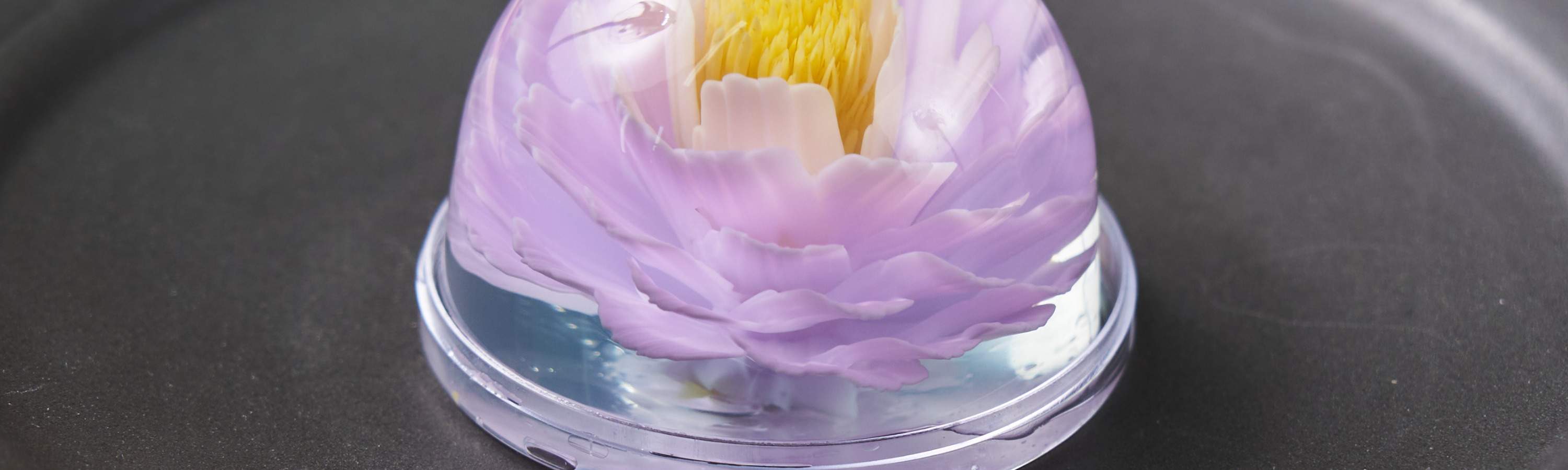 Kelas DIY Bunga Jeli Mini｜2,5 jam｜Kwun Tong - Klook Indonesia