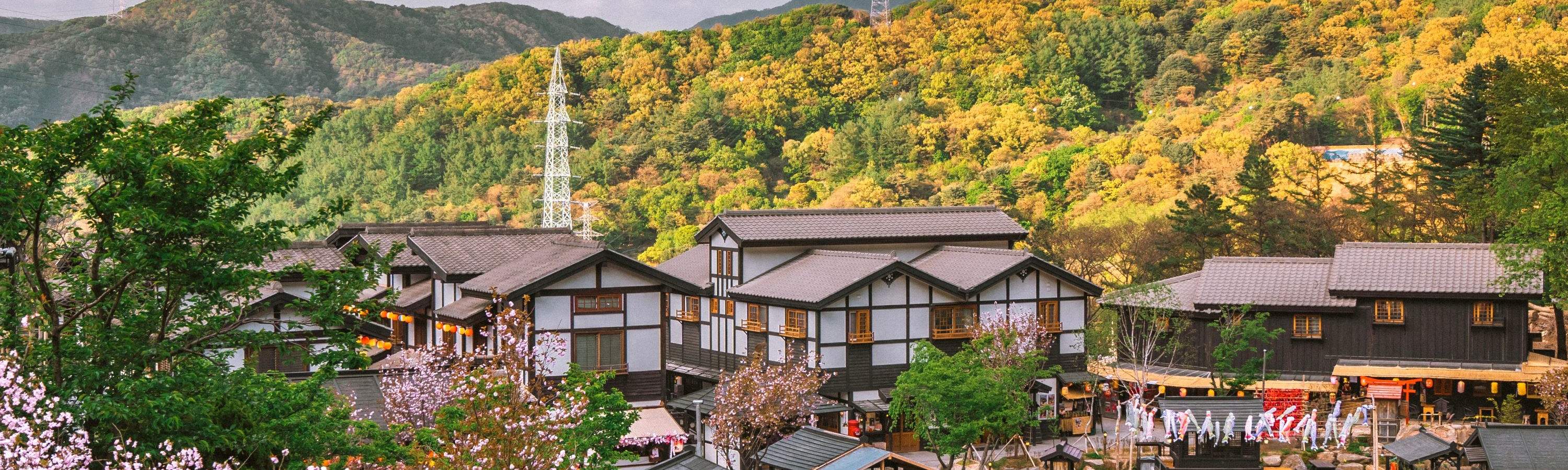 Nami Island & Nijimori Japan & Morning Calm & Railbike & Alpaca - Klook