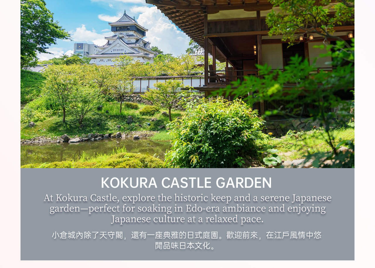 Limited-Time Flower Viewing | Northern Kyushu | A Day Trip from Fukuoka ...
