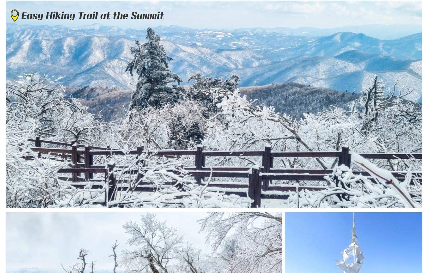 Snow & Meal Day Tour from Seoul - Snow Blossom Tour Packages - Klook ...