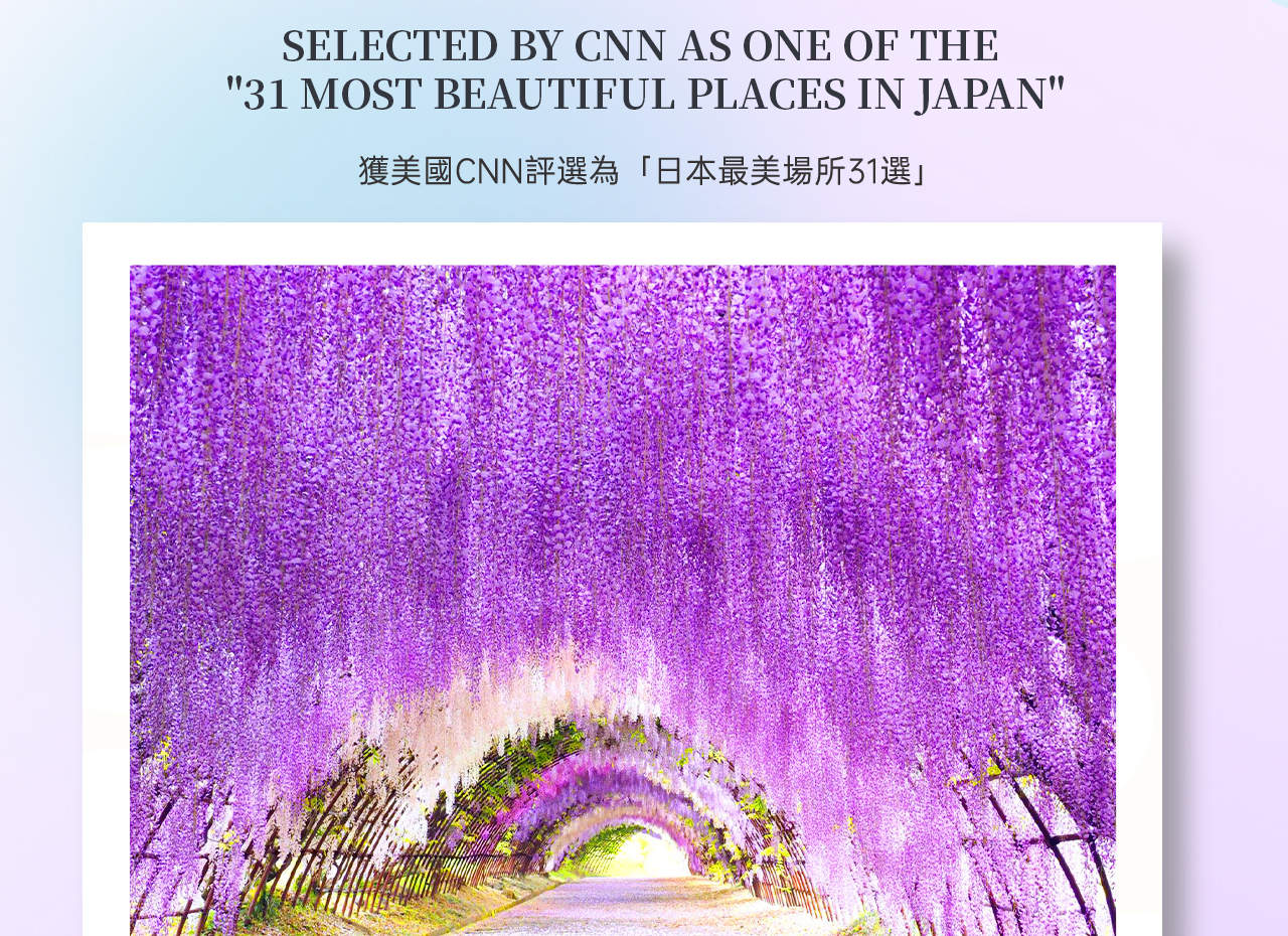 Limited-Time Flower Viewing | Northern Kyushu | A Day Trip from Fukuoka ...