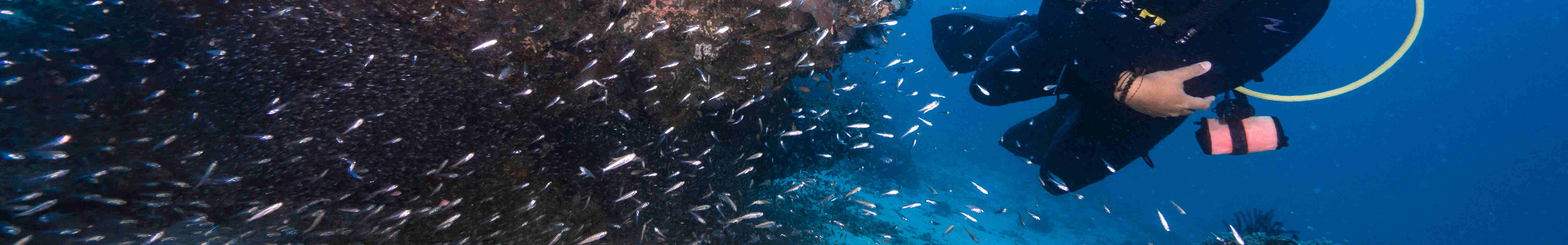 Experience Unforgettable Try Diving in Sanur with PADI 5 Star CDC - Klook