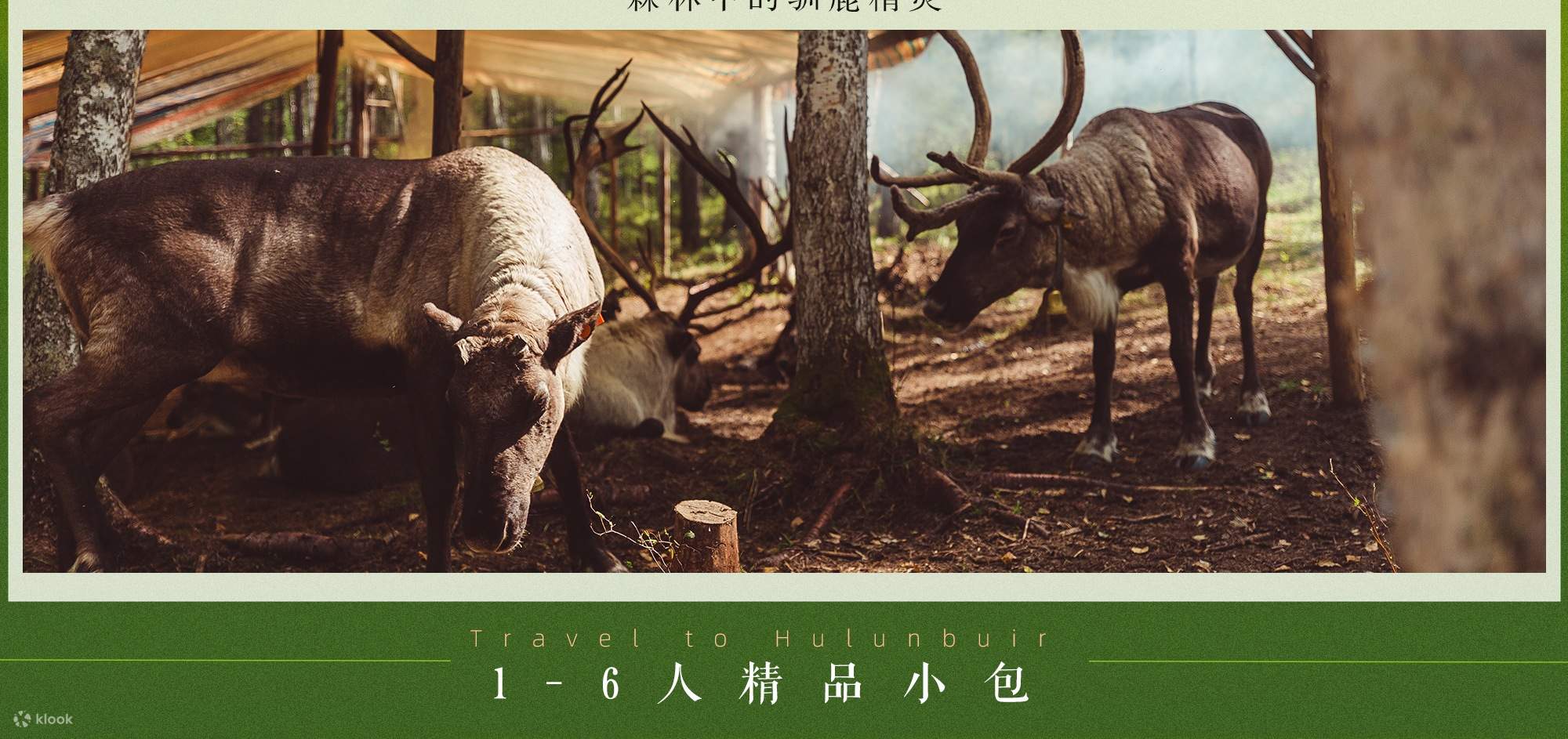 Hulunbuir Shiwei Manzhouli 6 days and 5 nights (Hailar + Sahuan Ranch ...