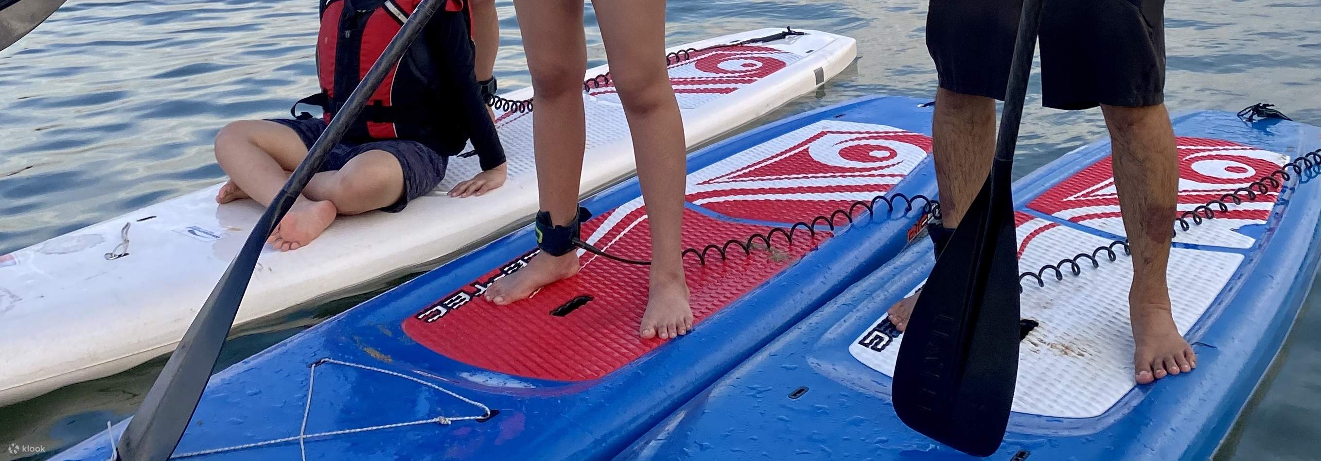 Pengalaman Kayak dan Standup Paddle di Singapura - Klook Indonesia