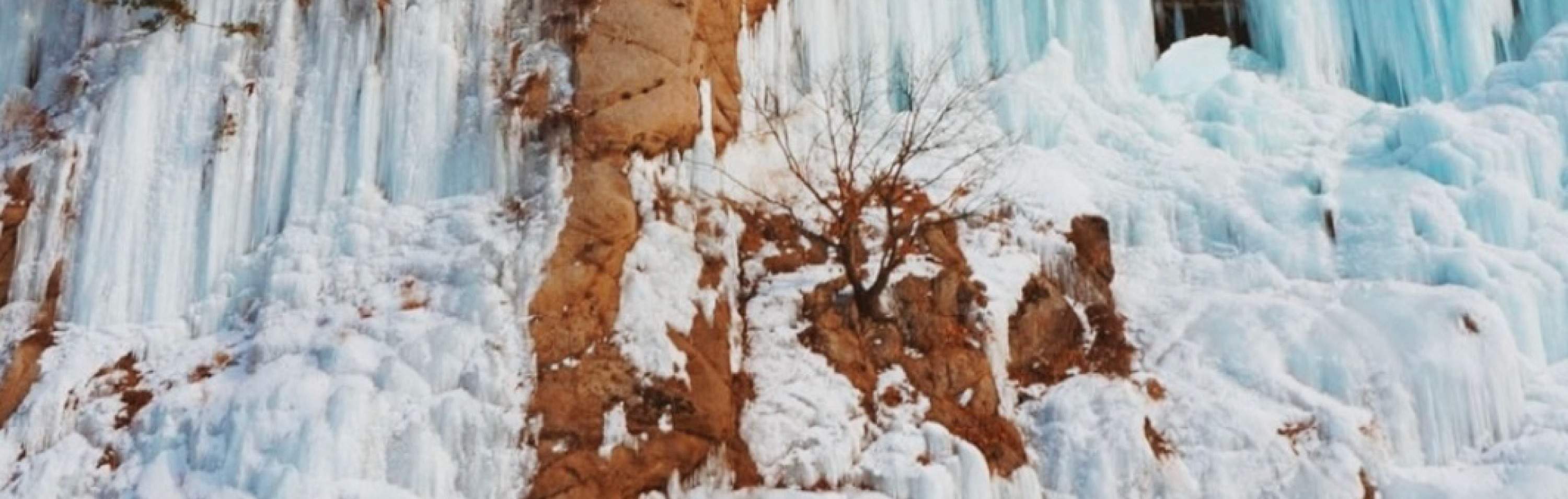 Cheolwon Canyon & Seasonal Hot Attractions One Day Tour - Klook