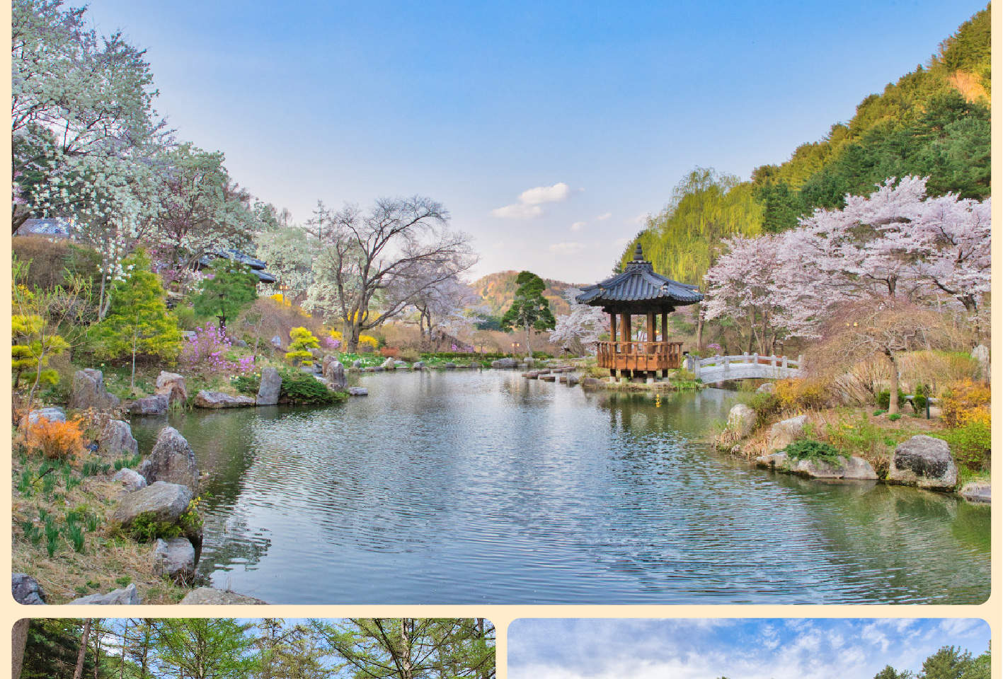 Nami Island, Garden of Morning Calm, Gangchon Rail Bike, & Petite France Day Tour - Klook