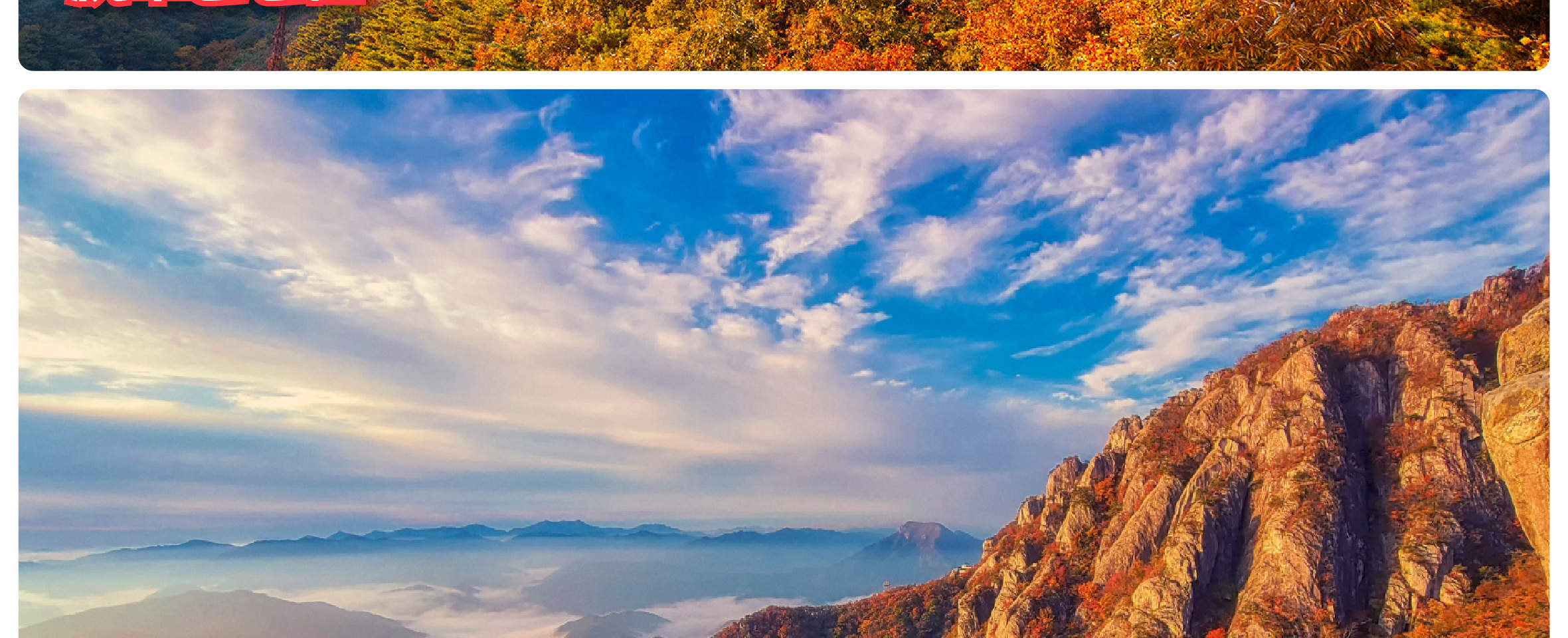 Daedunsan Autumn Maple Day Tour from Seoul - Klook Singapore