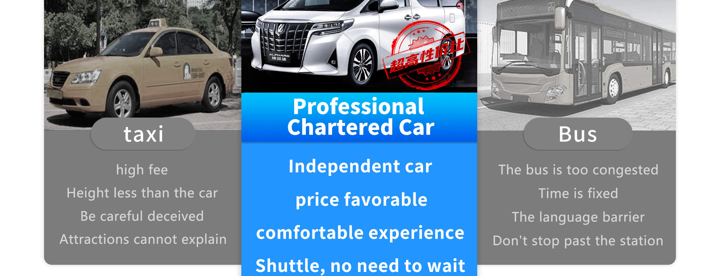 Seoul Car Rental with Driver to Legoland/ Everland/ Alpaca/ Nami Island ...