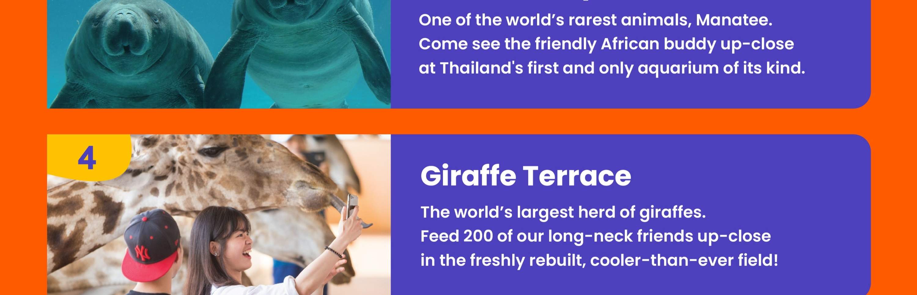 Buy Bangkok Safari World Tickets Online and Meet Exotic Animals - Klook