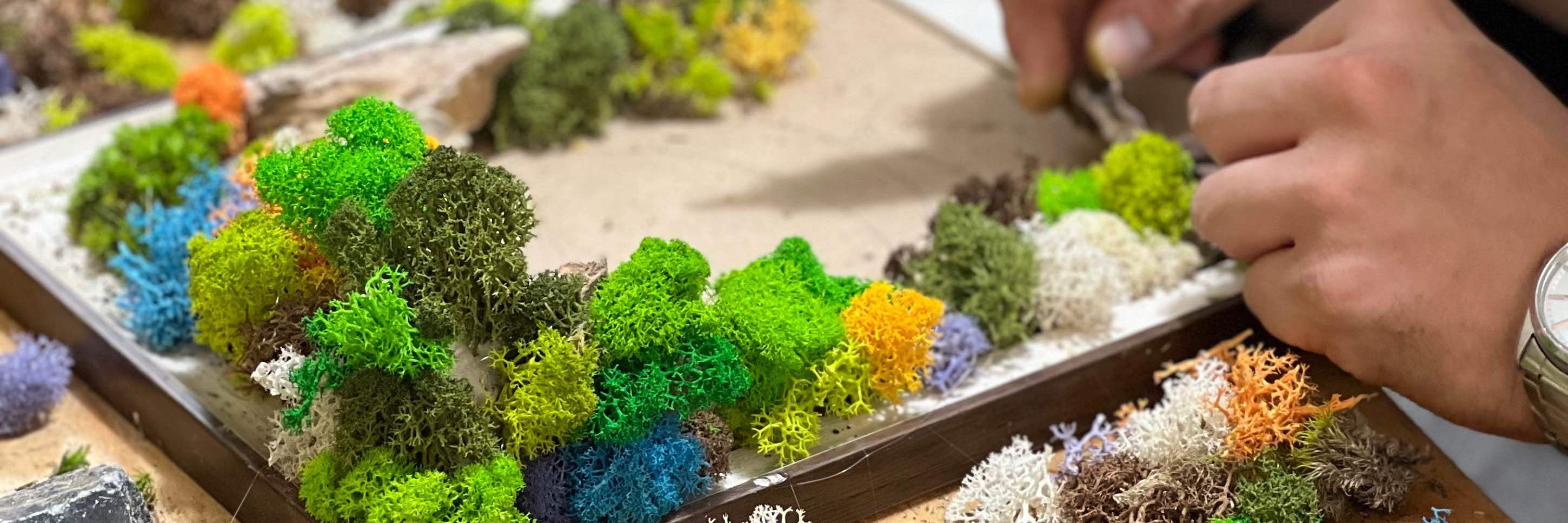 Preserved Moss Frame Workshop: Create Your Own Moss Art - Klook Hong Kong