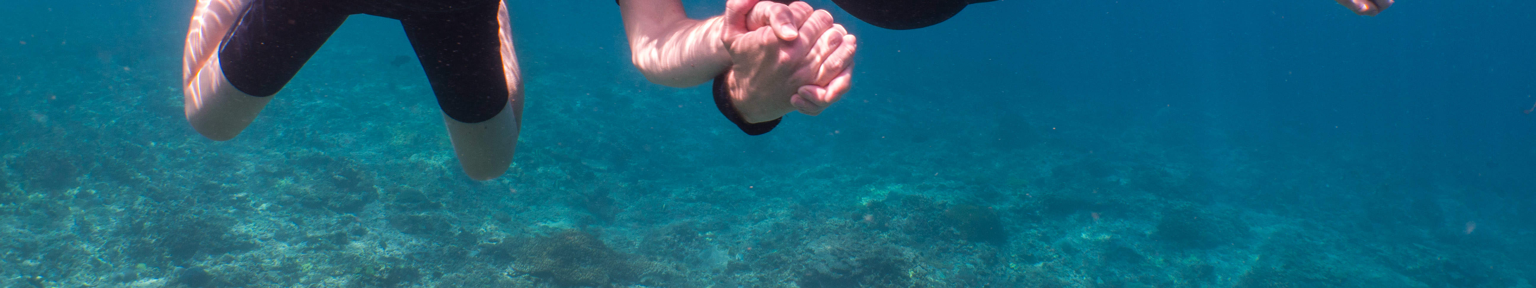 Explore the Depths: Snorkeling in Padang Bai, Bali with PADI 5 Star ...