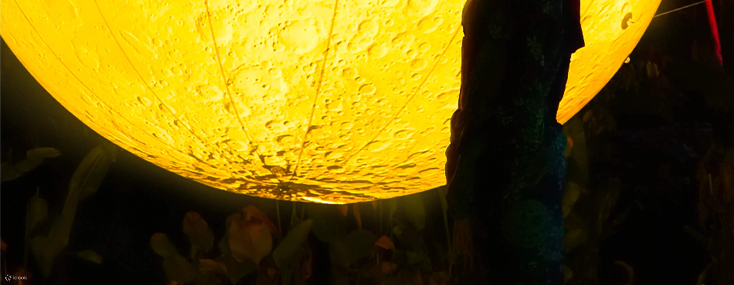 Hikaria: Bali's First Immersive Night Walk Ticket in Ubud - Klook ...