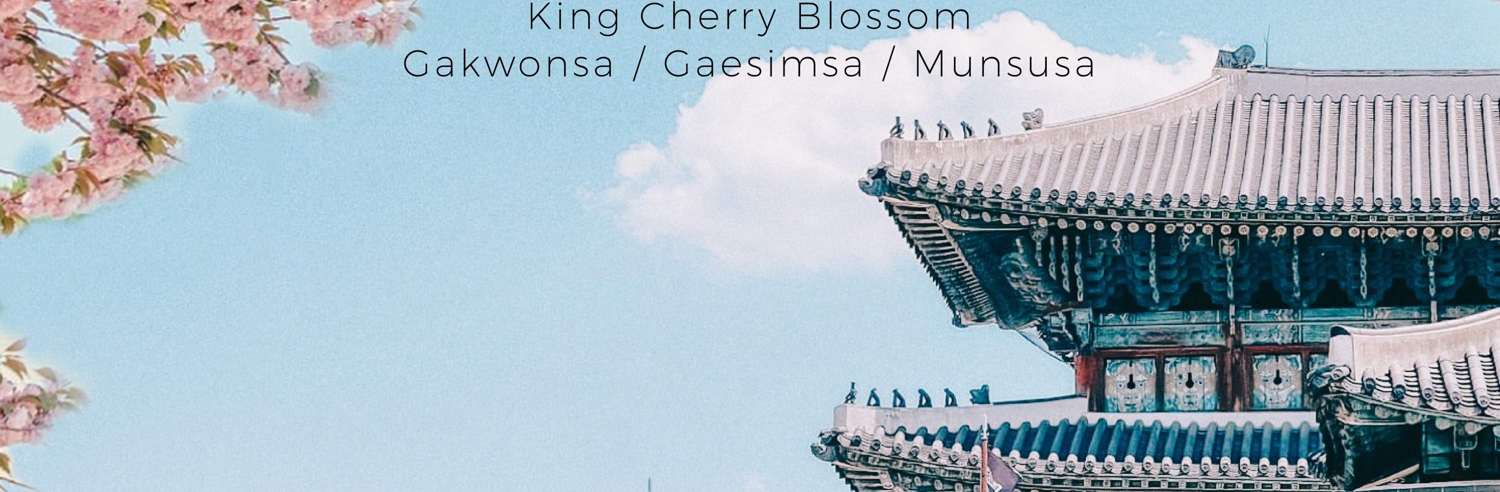 Cherry Blossom Suwon Hwaseong Fortress Tour from Seoul - Klook United ...