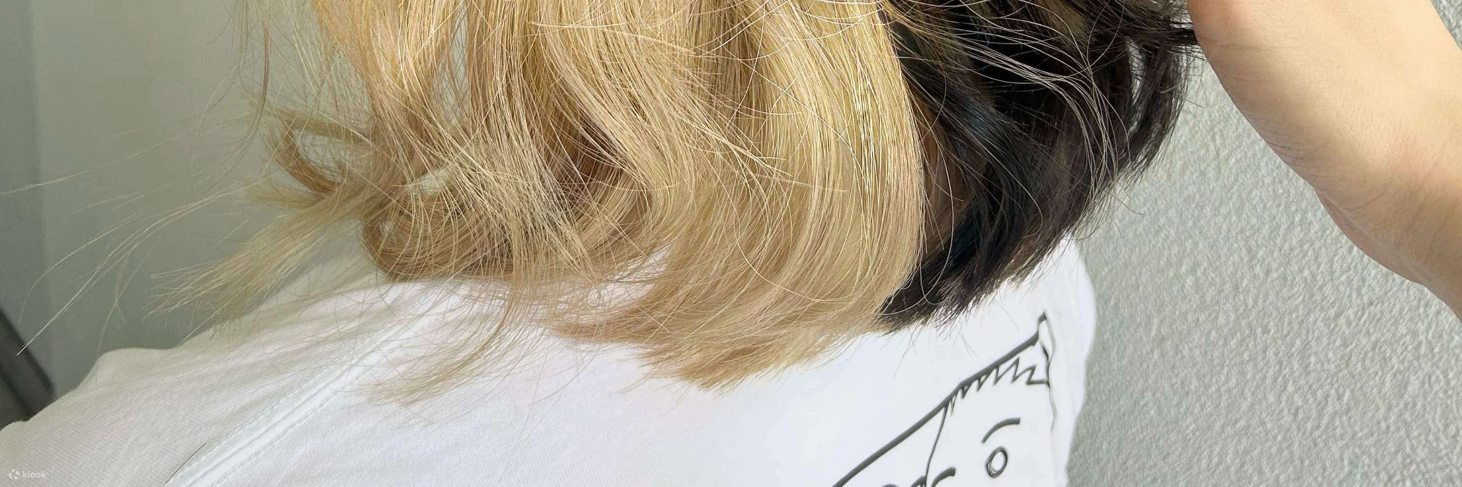 Lee Chul Hair KerKer Color & Perm Service in Seoul, Wangsimni - Klook ...