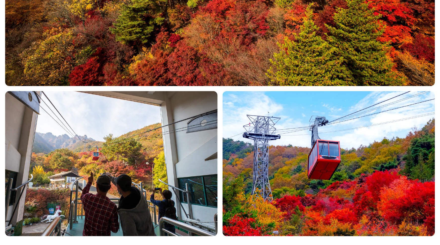 Daedunsan Autumn Maple Day Tour from Seoul - Klook India