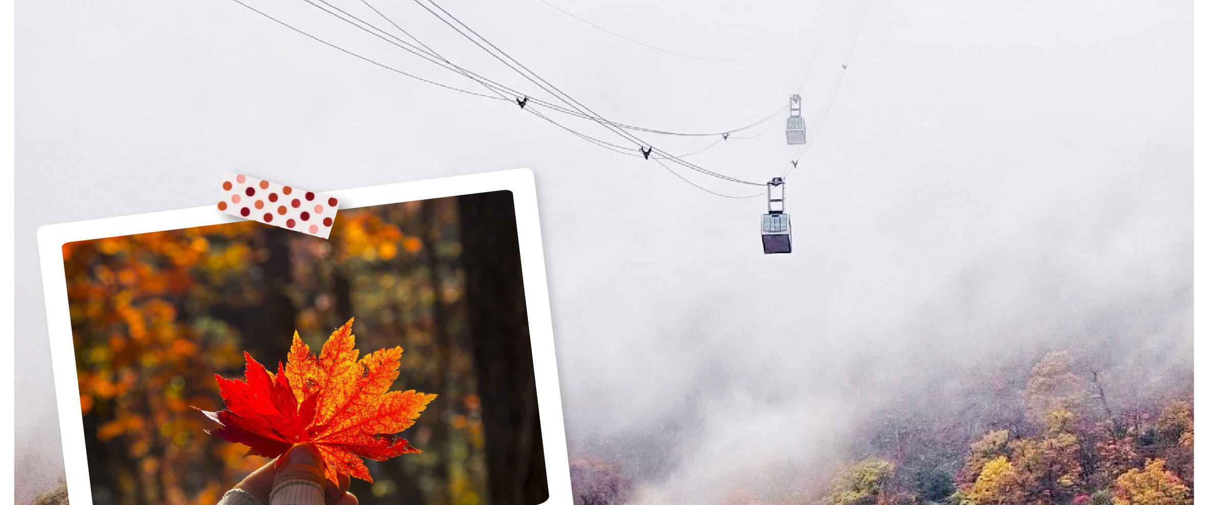 Seoraksan National Park Autumn Day Tour from Seoul - Klook Estados Unidos