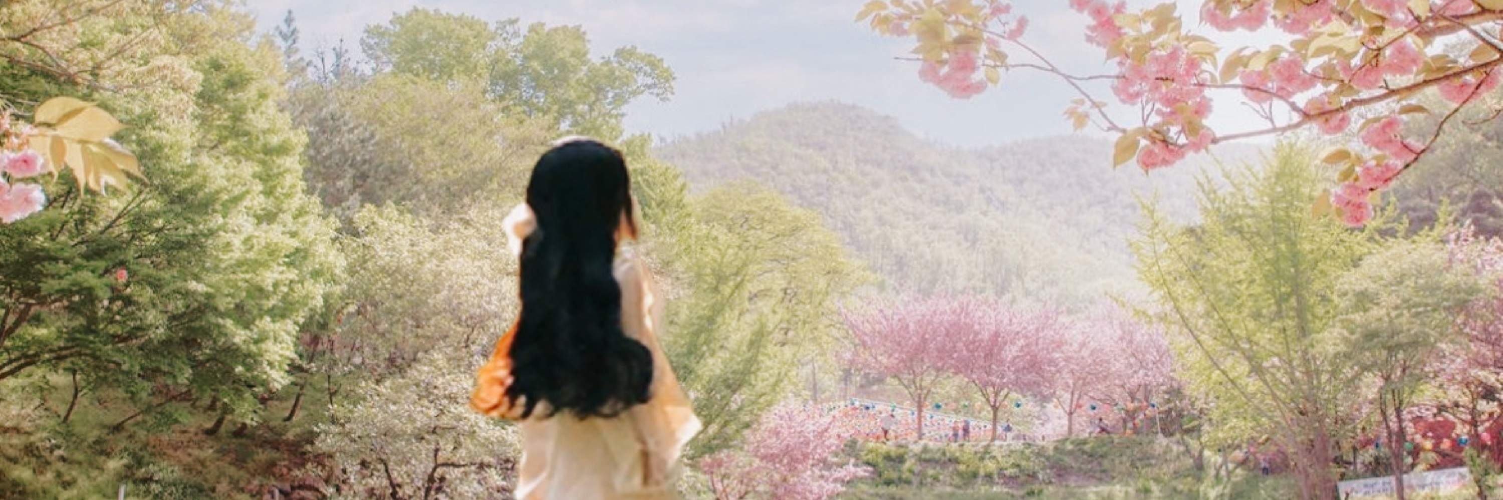 Cherry Blossom Suwon Hwaseong Fortress Tour from Seoul - Klook