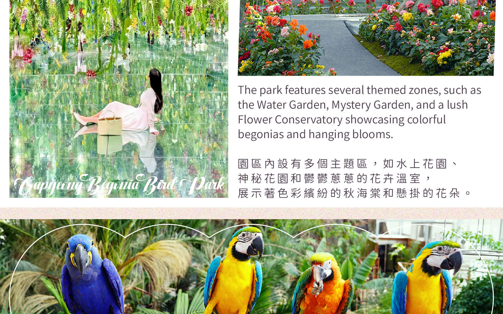 Eden Cherry Blossom Road x AQUAFIELD Jjimjilbang x Begonia Bird Park - Klook