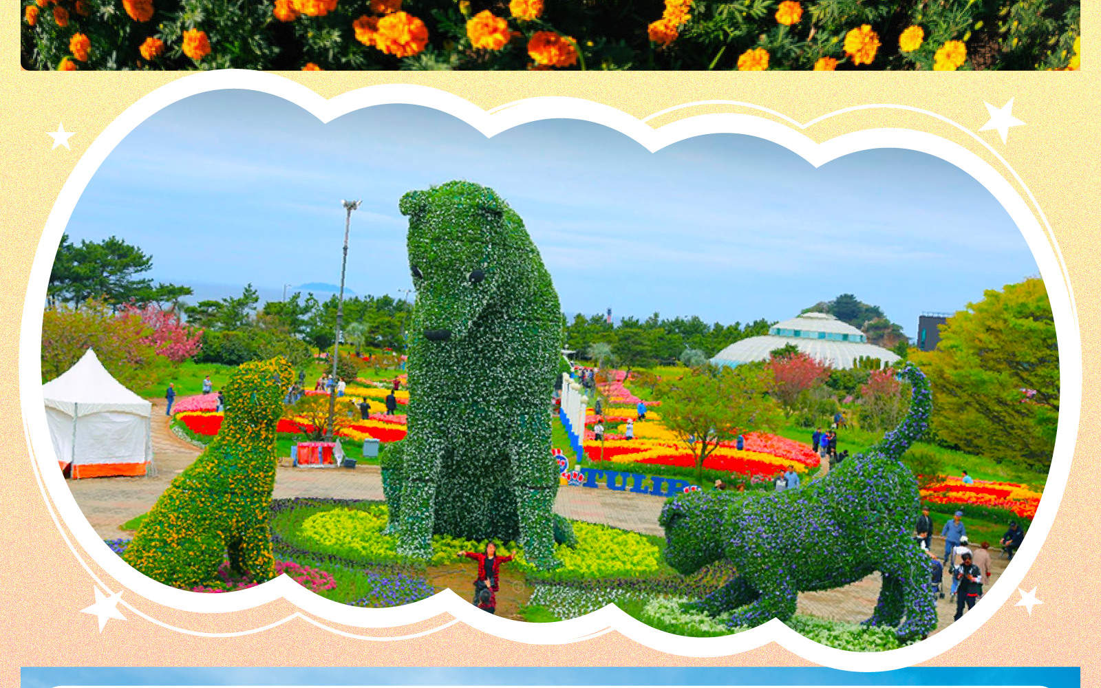 Taean Tulip Festival + Cheonripo Arboretum + Green Park Day Tour - Klook