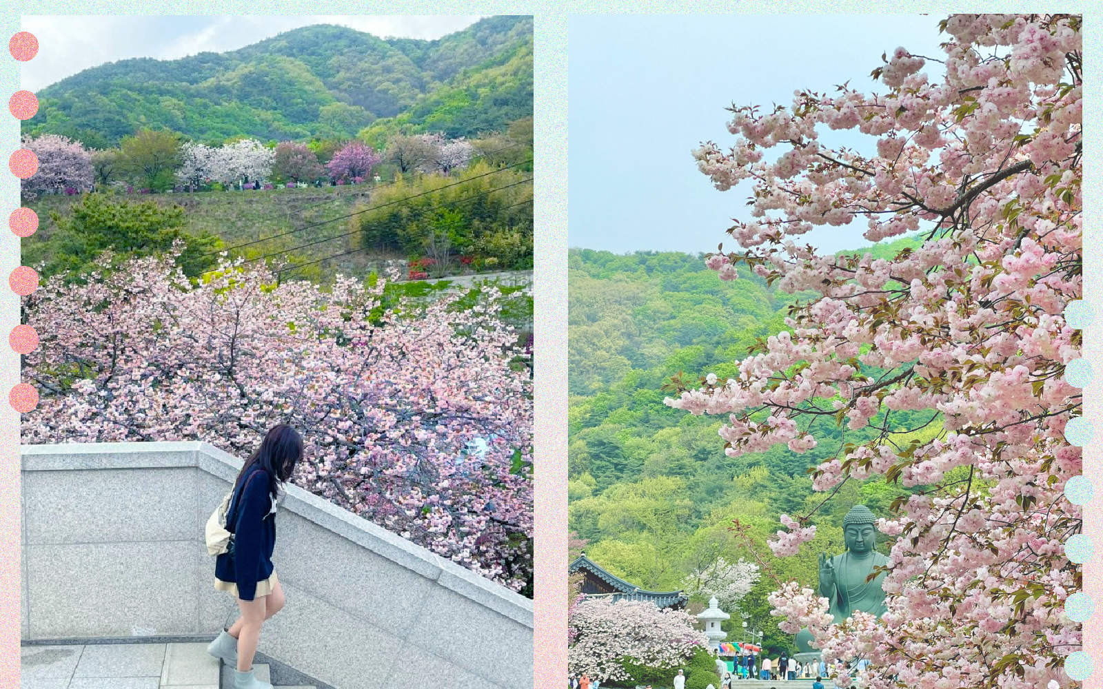 Tur Pasar Yesan Paik Jong Won x Kuil Gakwonsa untuk Melihat Bunga ...