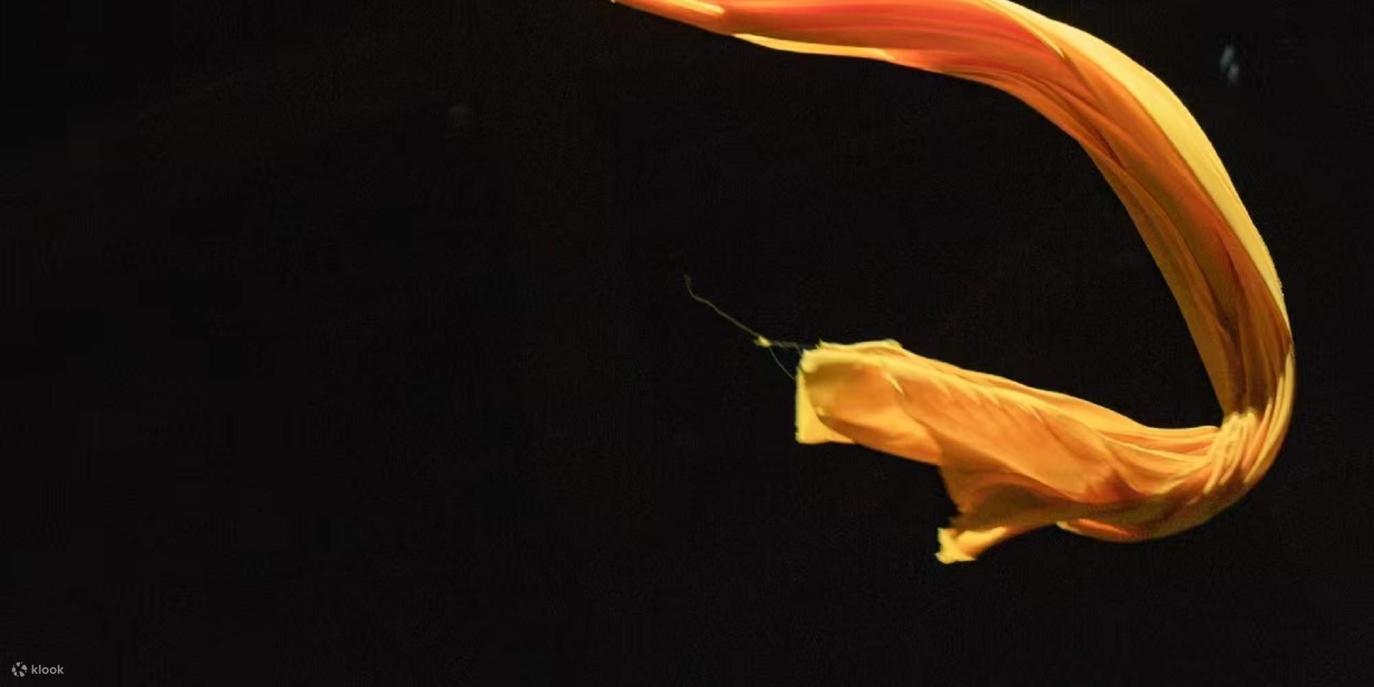 Tickets for the Xinjiang Changji "Thousands of Returns to the Western ...