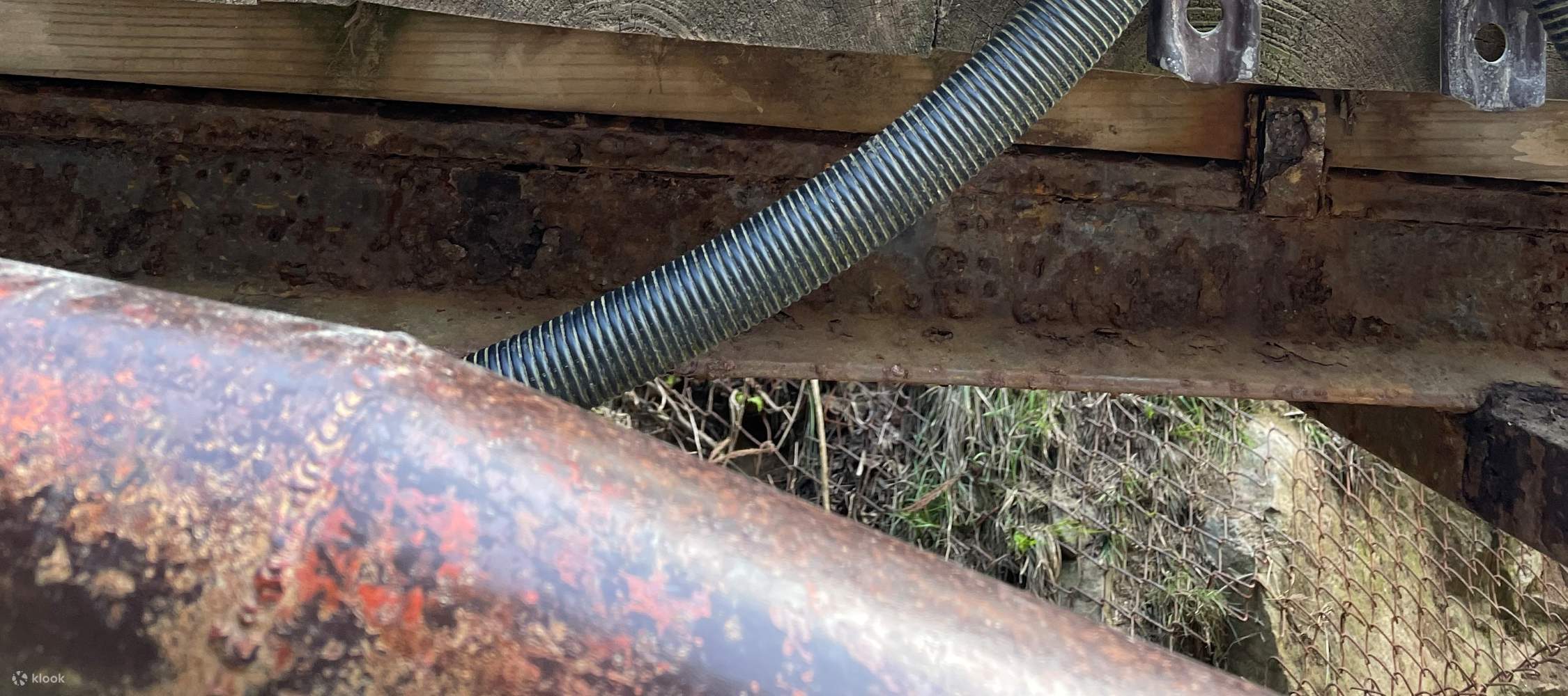 Snow Monkey & Shibu Onsen Tour in Nagano (Nozawa Onsen Departure ...