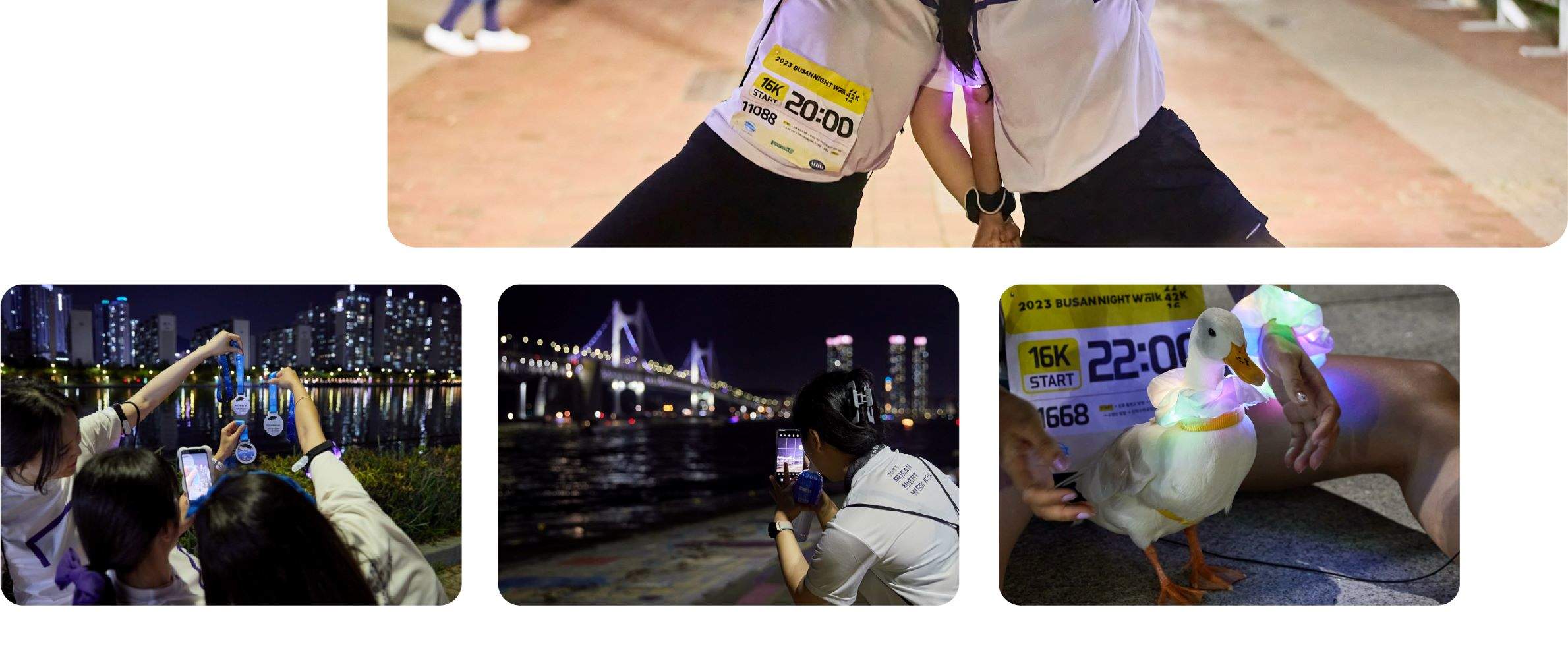 2025 Night Walk Challenge: Seoul Han River 14K & Busan Coastline 16K ...