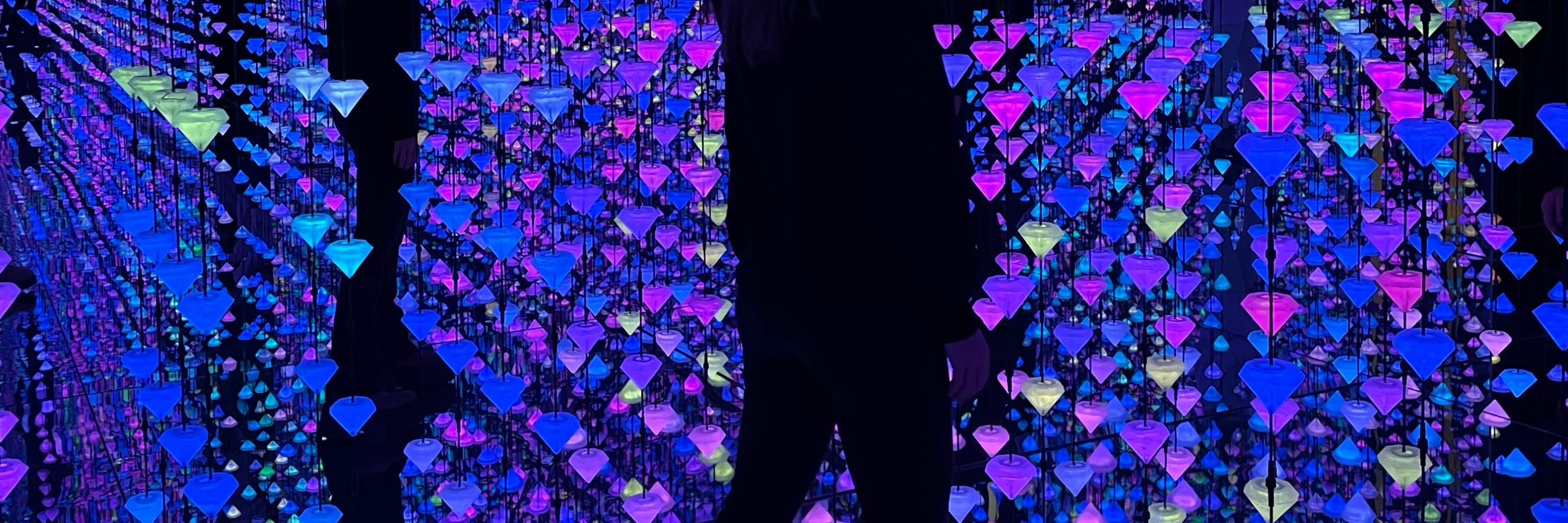 Moco Museum Barcelona with Banksy and more | Klook