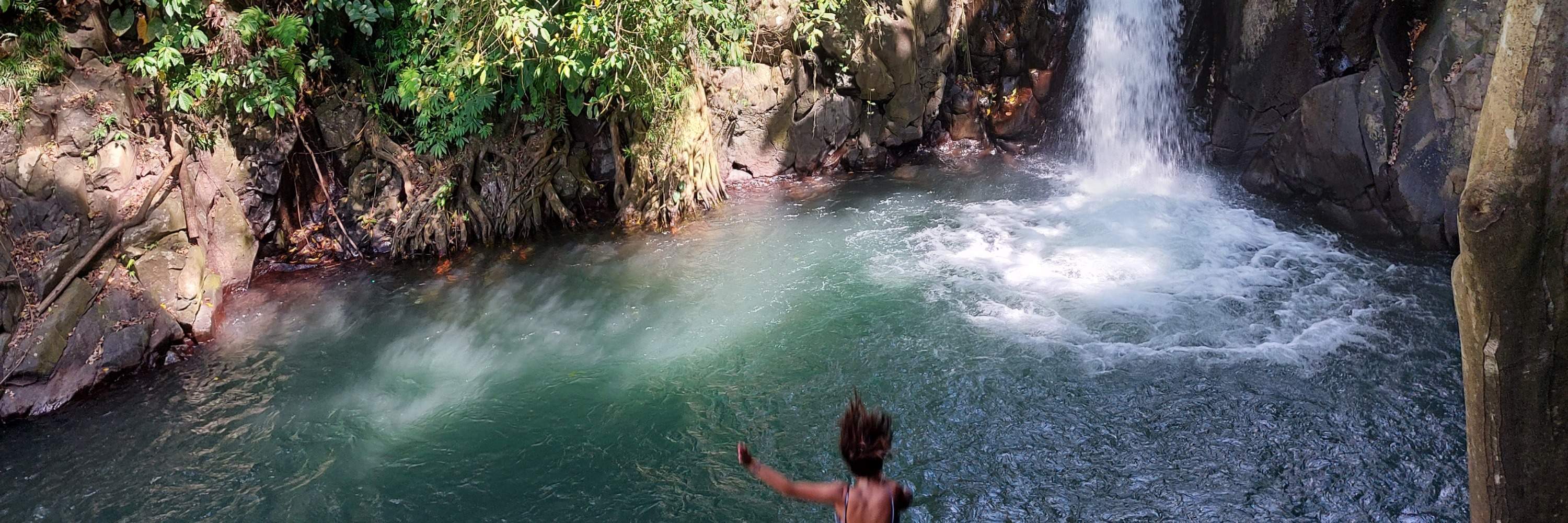 Sambangan Waterfalls with Wanagiri Swing Day Trip, Bali, Indonesia ...