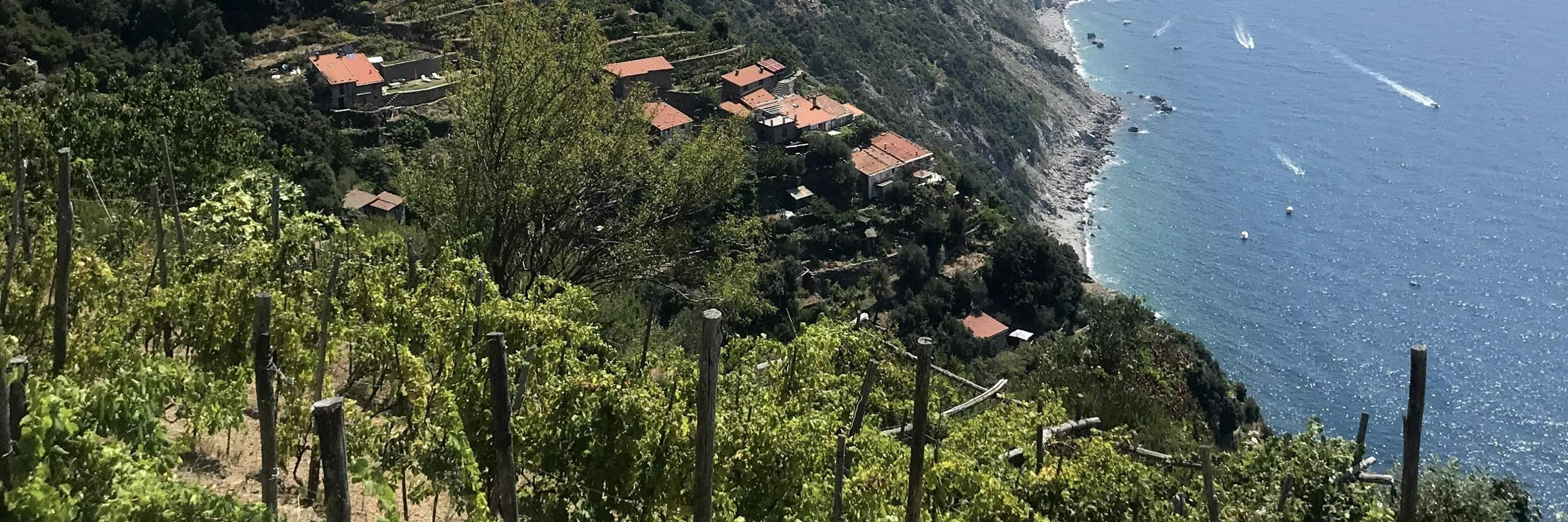 Hiking through the Geosites, terraces, and history of the 5 Terre ...
