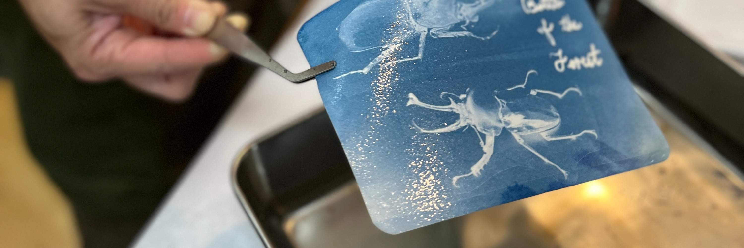 Handmade Classroom - Cyanotype Small Crossbody Bag Workshop Cyanotype ...