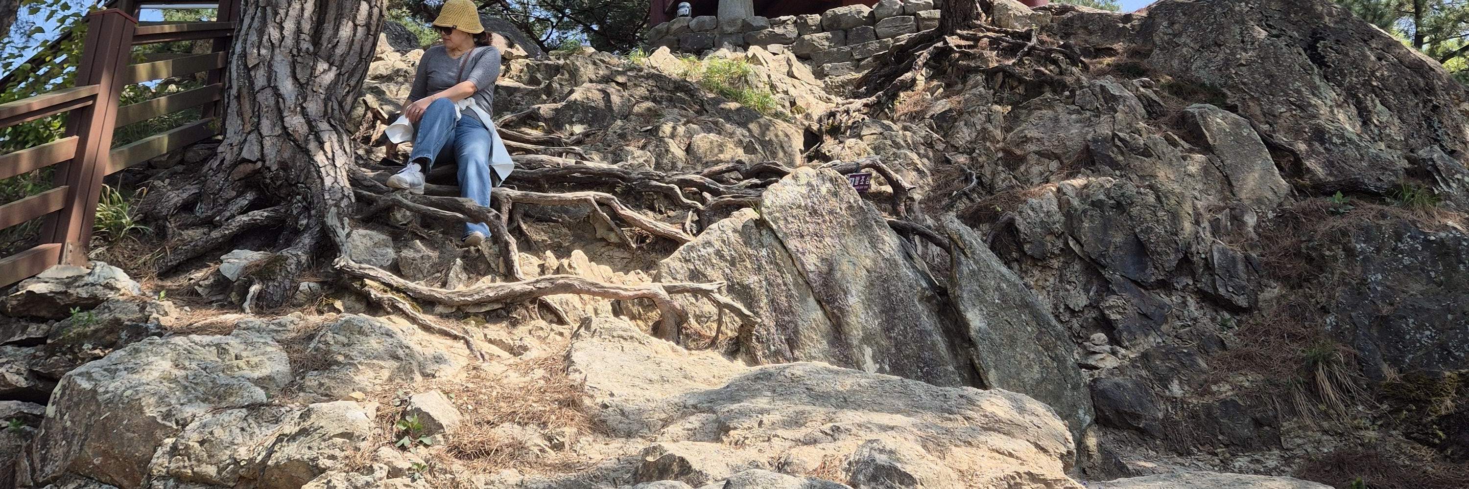 Buyeo Baekje Kingdom One Day Tour - Klook Philippines