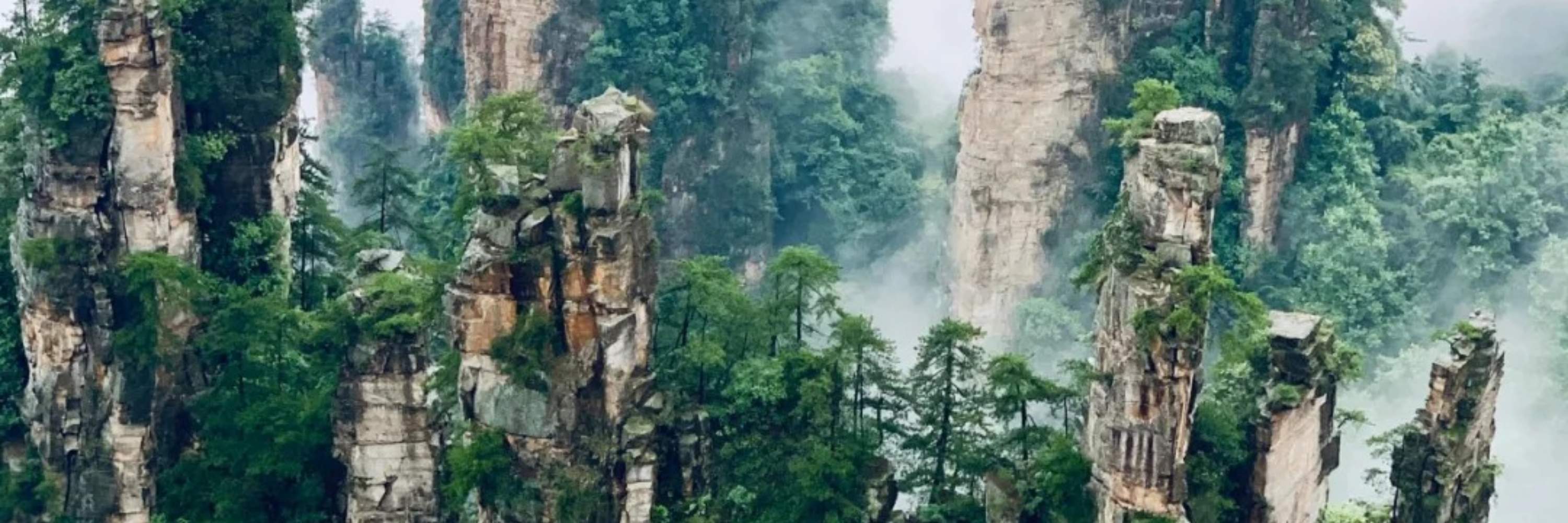 Zhangjiajie National Forest Park, Yuanjiajie, Qiankunzhu Day Tour ...