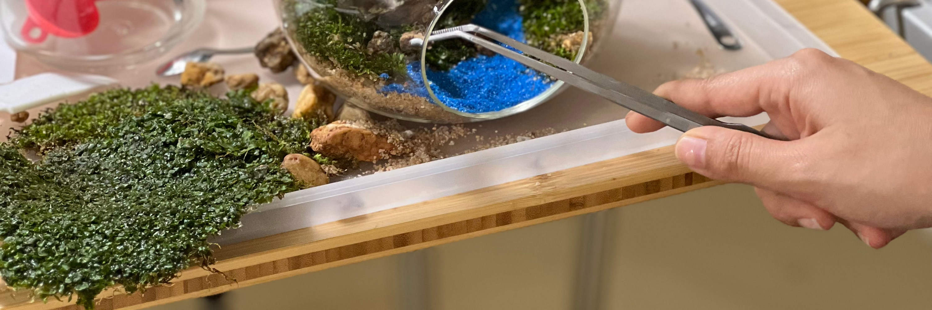 Join In Make A Terrarium Experience in Phuket - Klook Malaysia