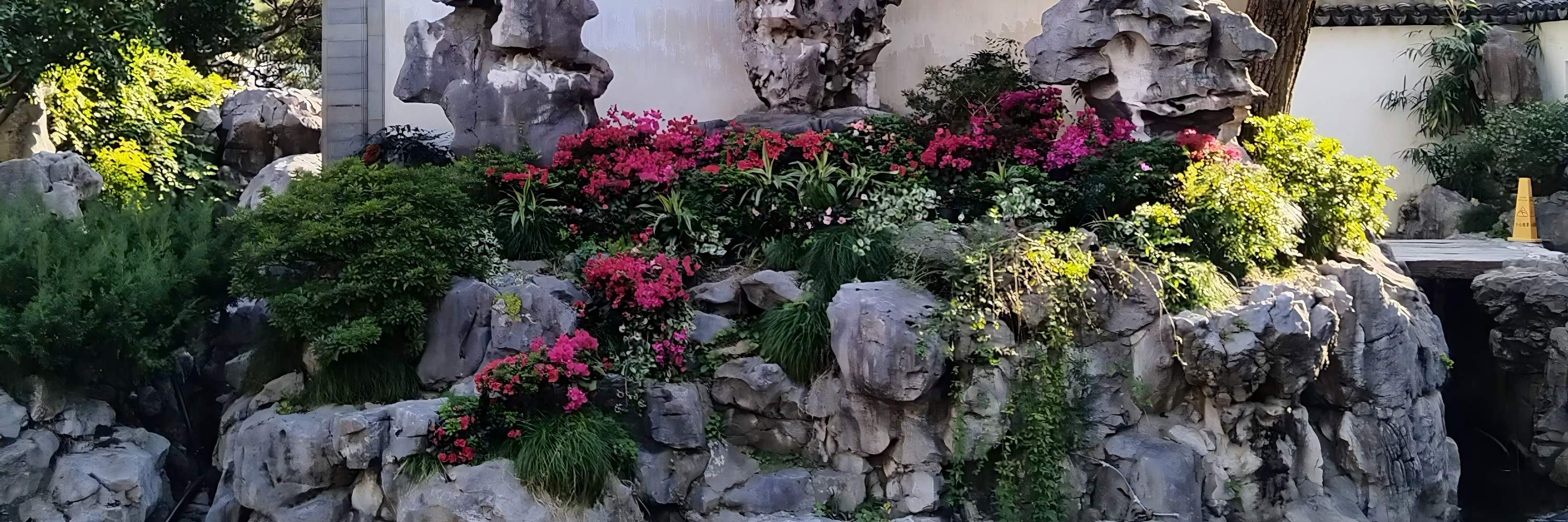 Shanghai Yu Garden Professional Guide + Chinese Tea Experience Tour ...