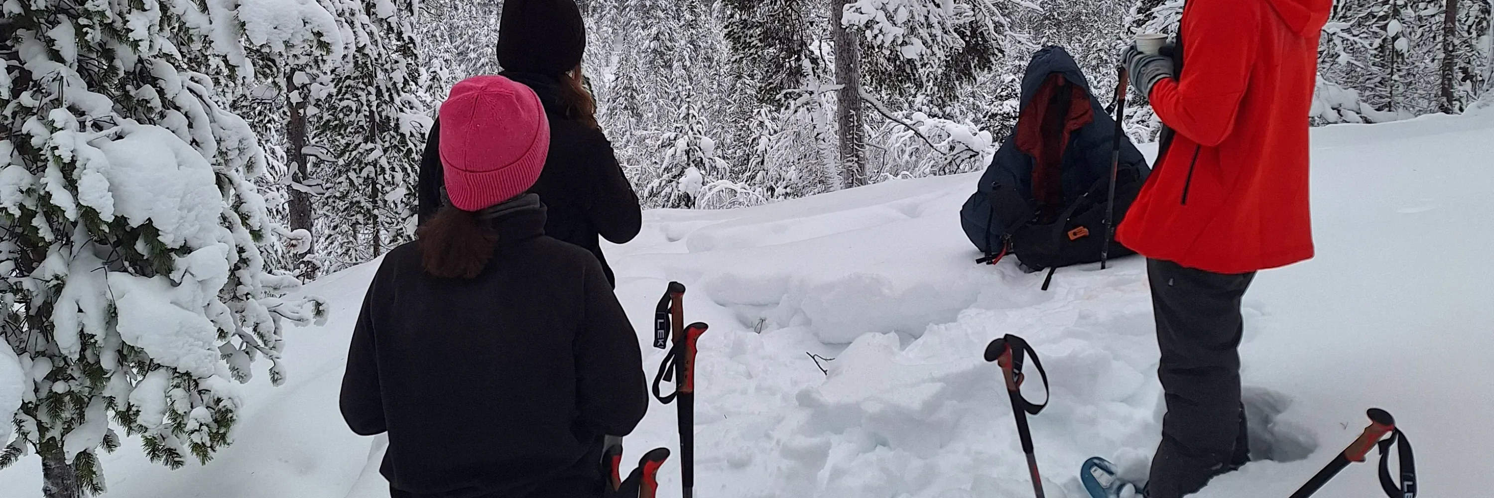 Nordic Nature: Two-Hour Snowshoeing by Lake Inari - Klook