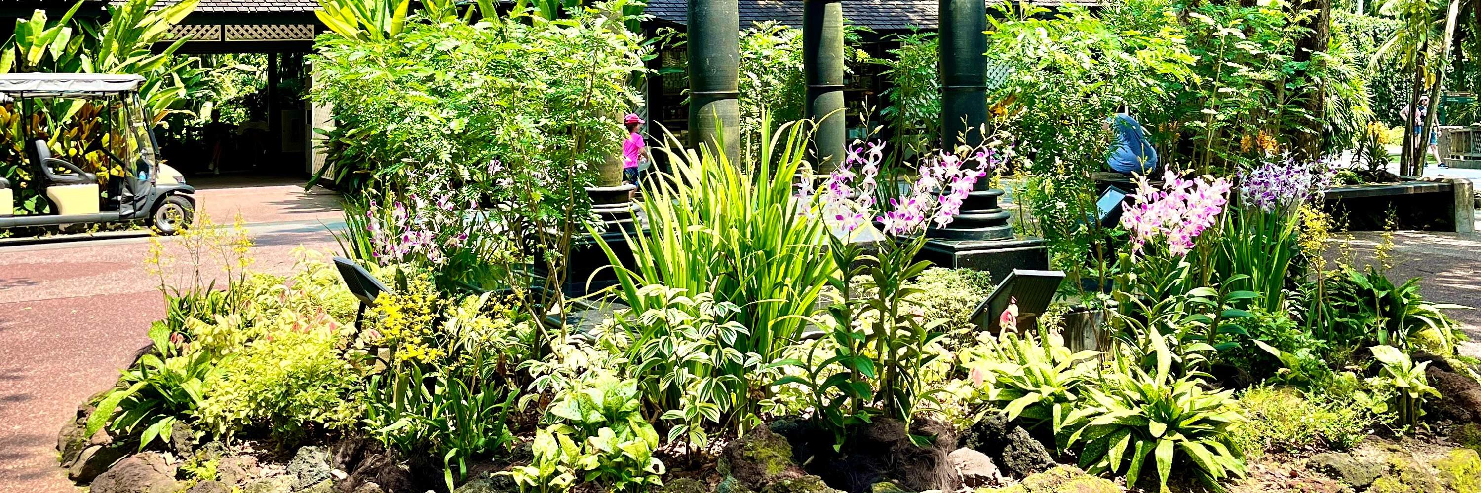 Singapore Botanic Gardens & National Orchid Garden Tour in Korean ...