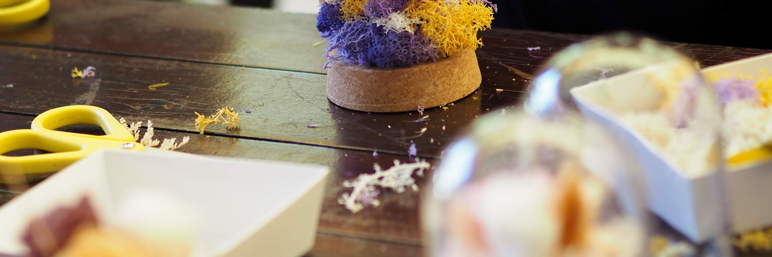 J2 Terrarium 在新加坡舉辦的永生花穹頂工作坊 - Klook香港