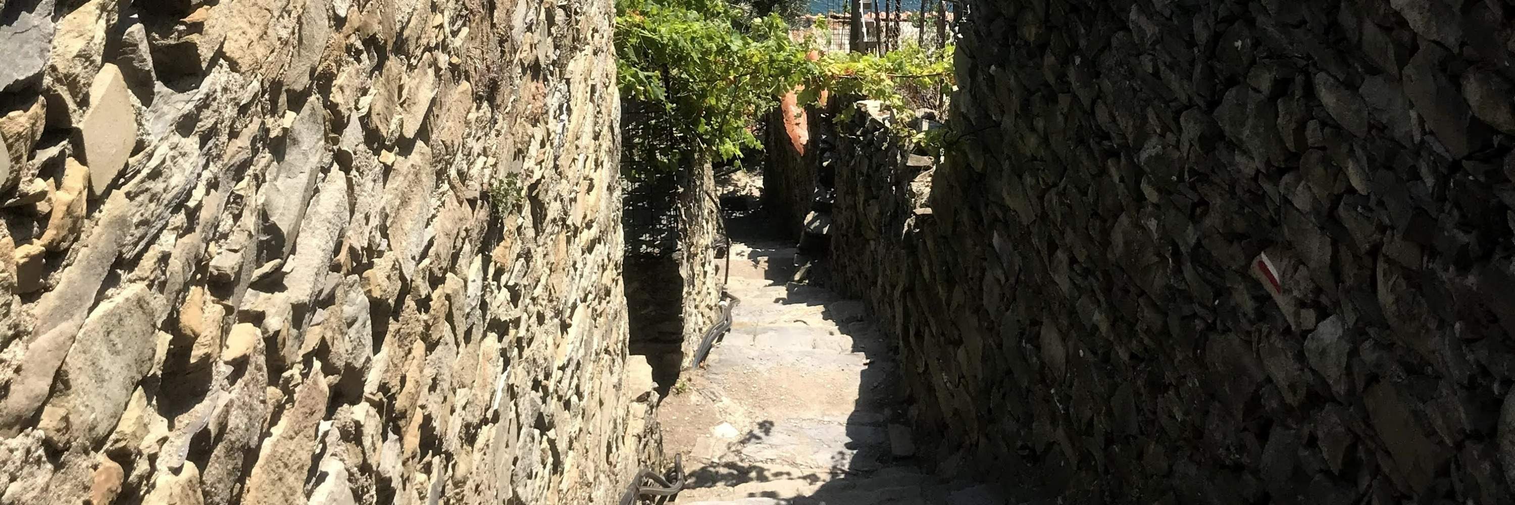 Hiking through the Geosites, terraces, and history of the 5 Terre ...