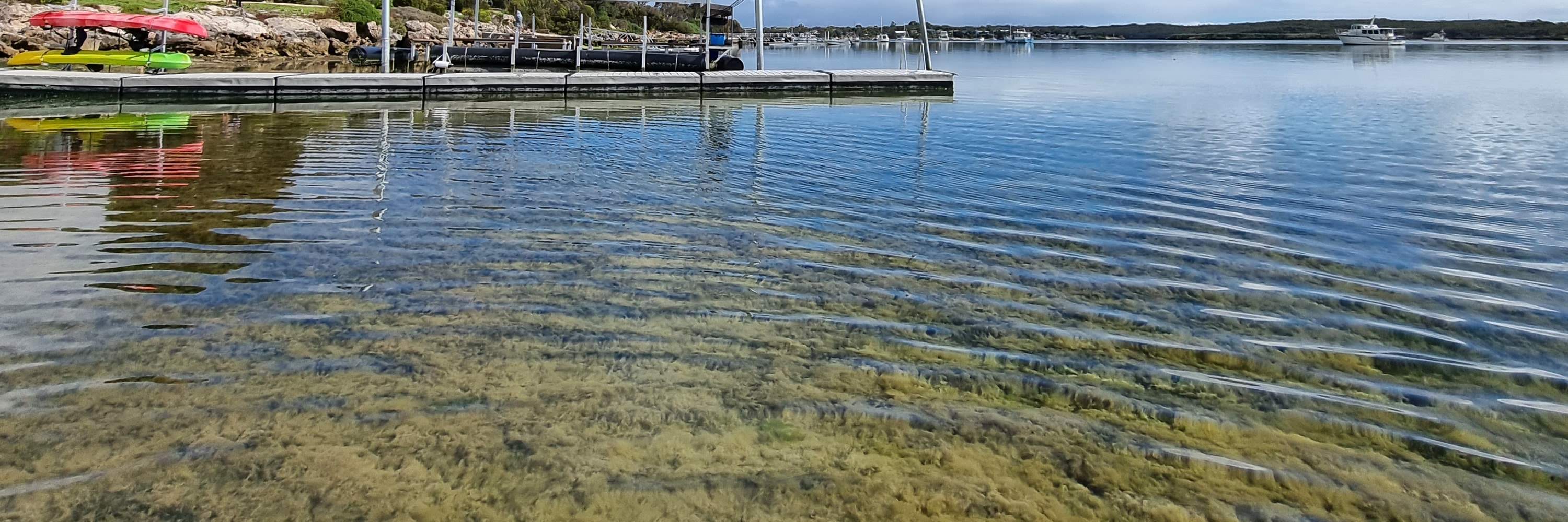 Coffin Bay Oyster Seafood Exploration Day Tour - Klook