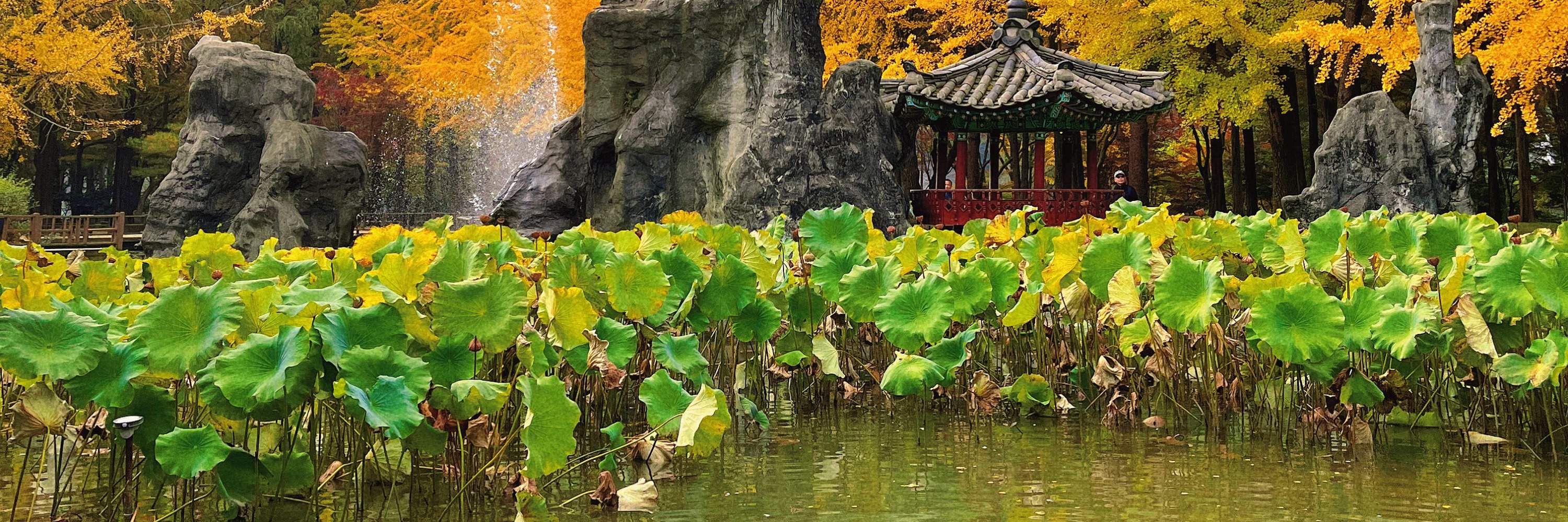 [Special Offer] Nami Island Admission with Restaurants & Activities - Klook