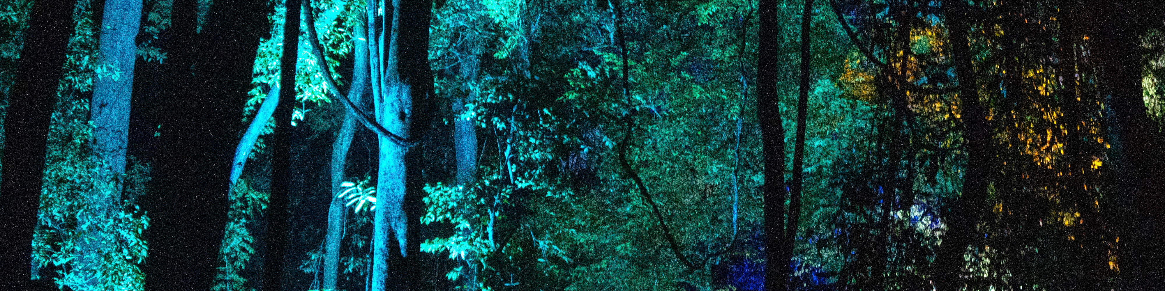 Dream Forest Langkawi Ticket - Klook Malaysia