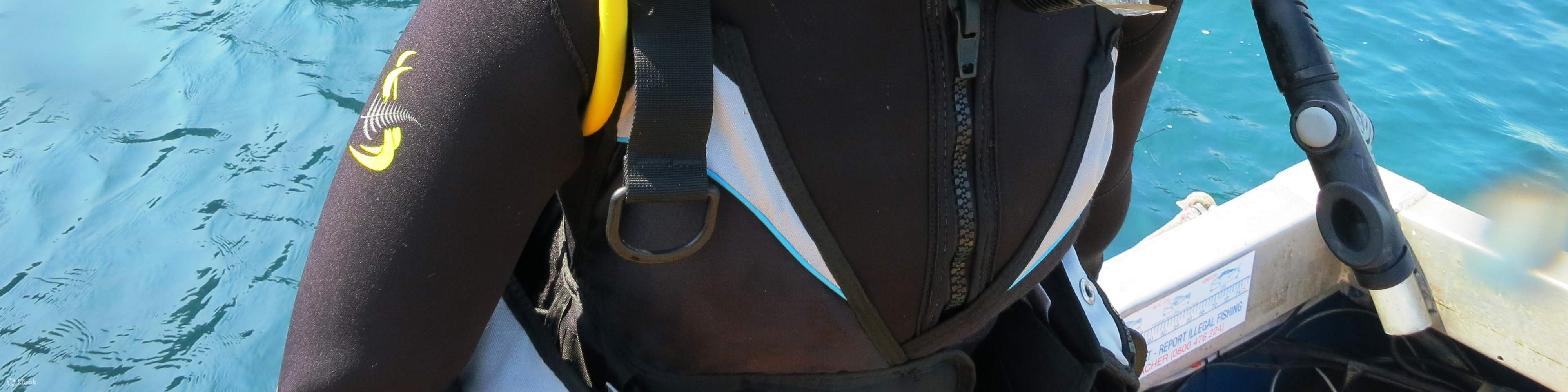 Experience PADI Discover Scuba Diving in Hahei with Certified PADI Dive ...