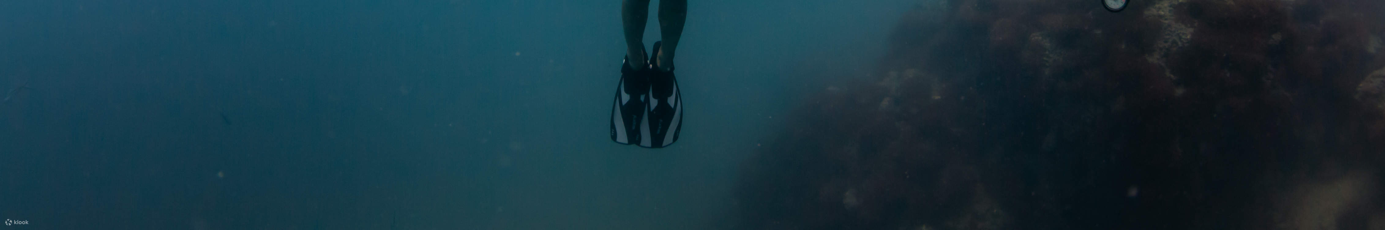 Try Scuba Diving in Koh Phangan with PADI 5 Star IDC Resort - Explore ...