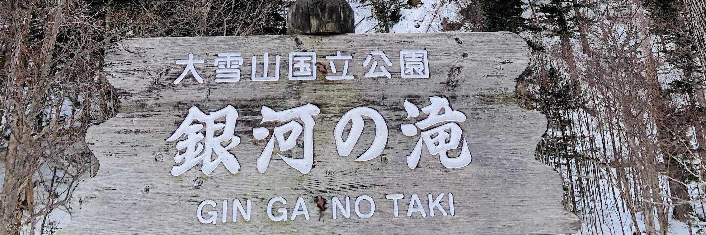 Monbetsu Icebreaker & Asahiyama Zoo & Sounkyo Ice Waterfall Festival 2 ...