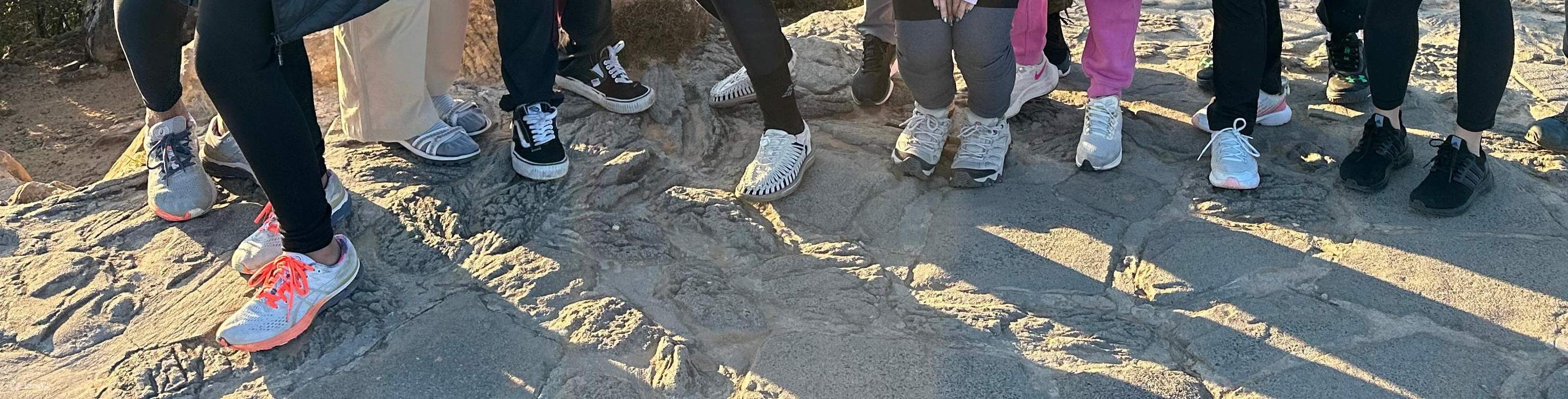 Pendakian Terpandu Saat Matahari Terbit di Lion's Head di Cape Town ...