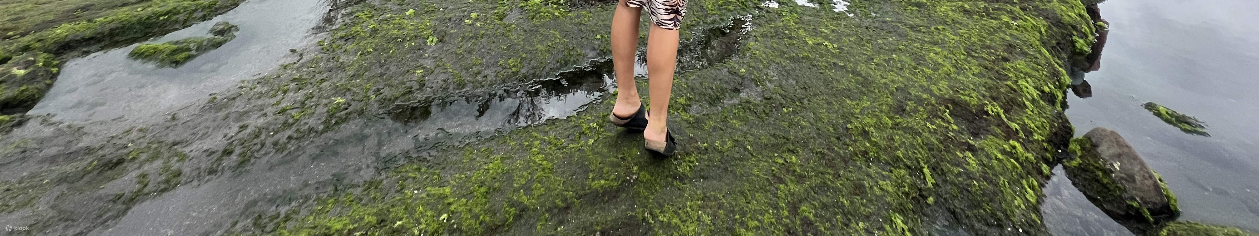 Tanah Lot Sunset Tour - Klook India